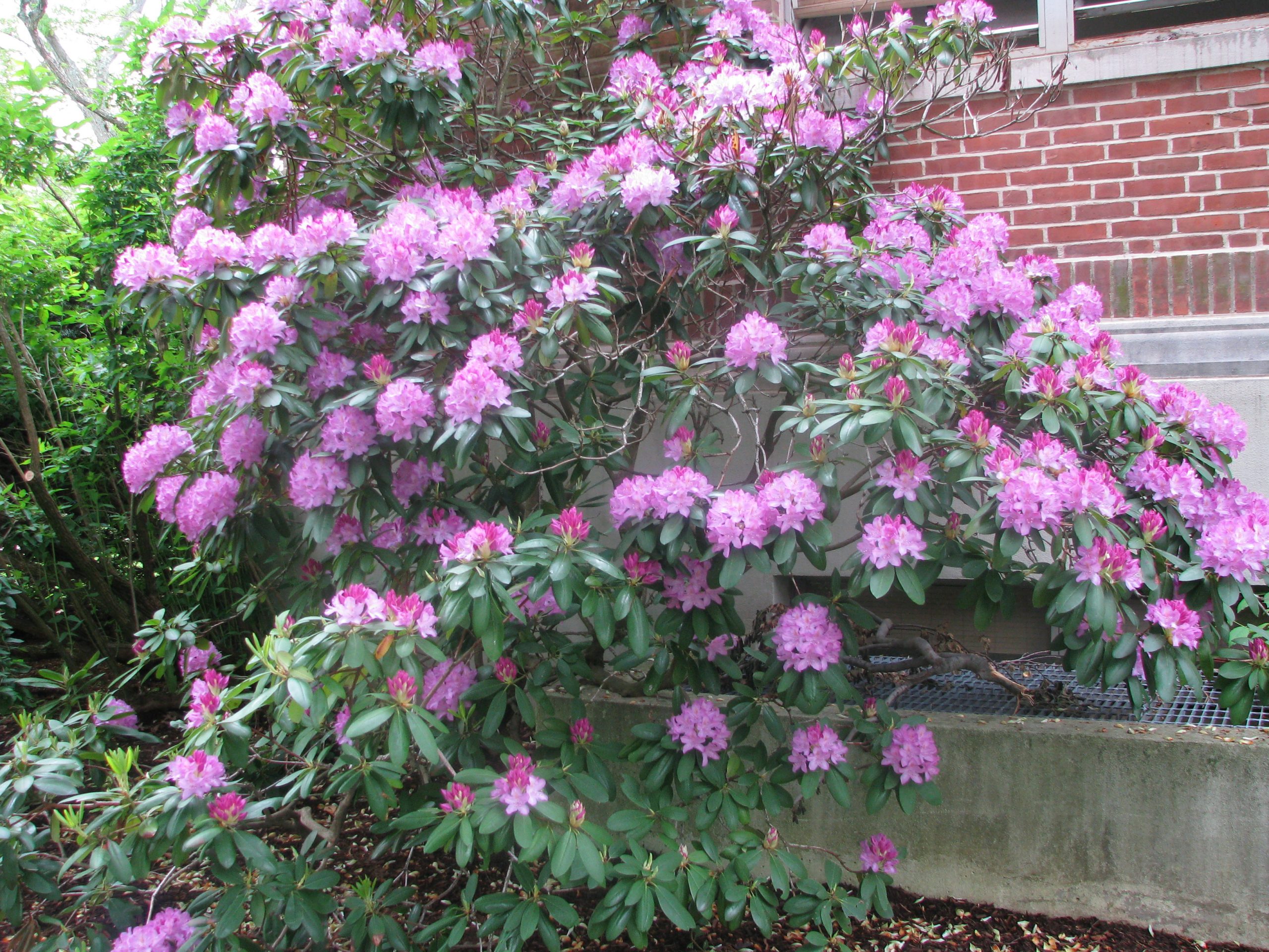 University of Connecticut | Home & Garden Education Center (HGEC)